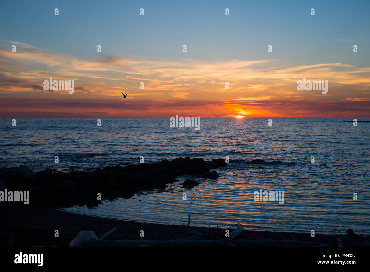 Newfoundland coastal sunset Stock Photo - Alamy