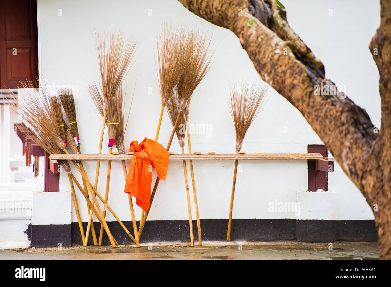 Monk plants hi-res stock photography and images - Alamy