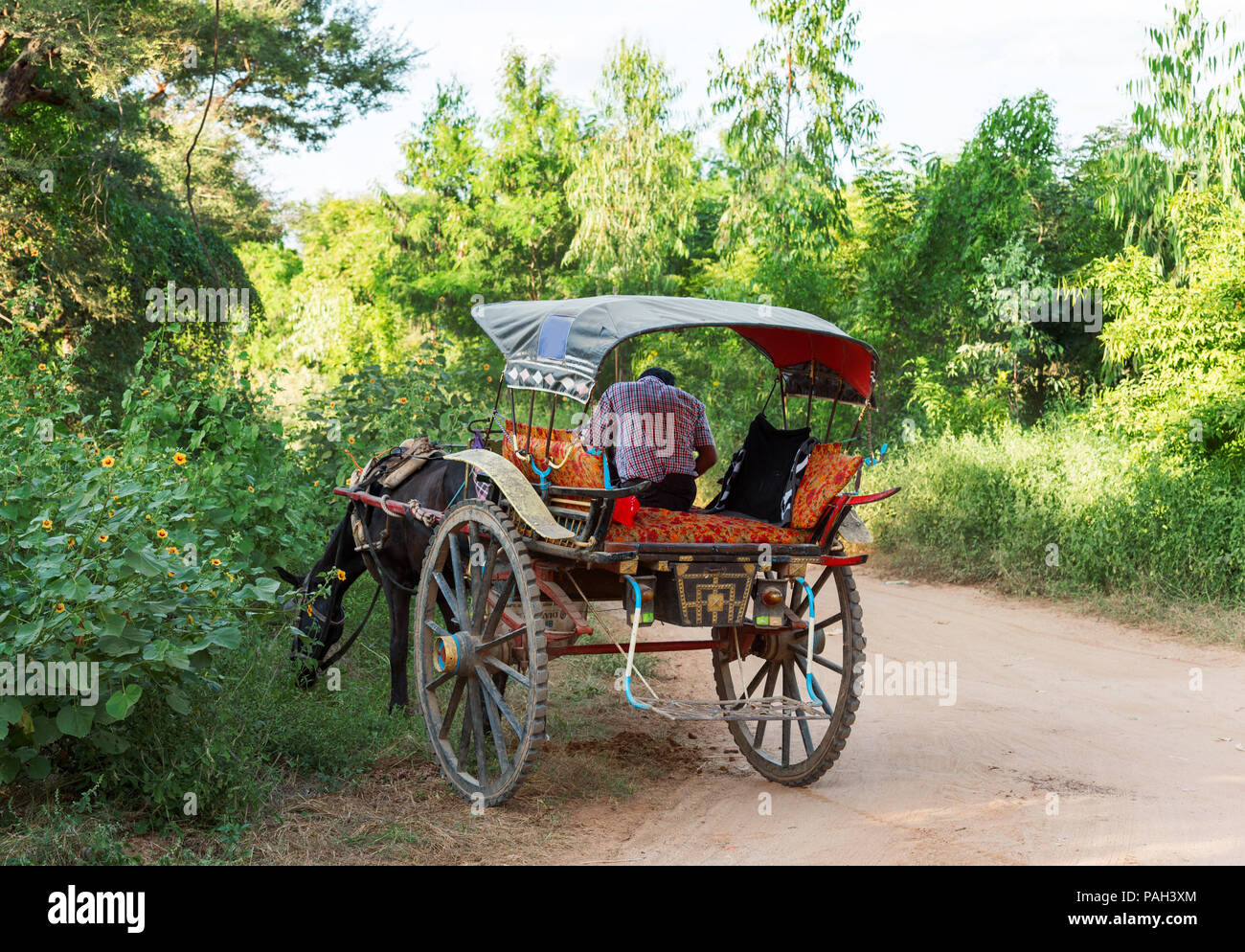 A cart on a rural road in Bagan, Myanmar. Copy space for text Stock ...