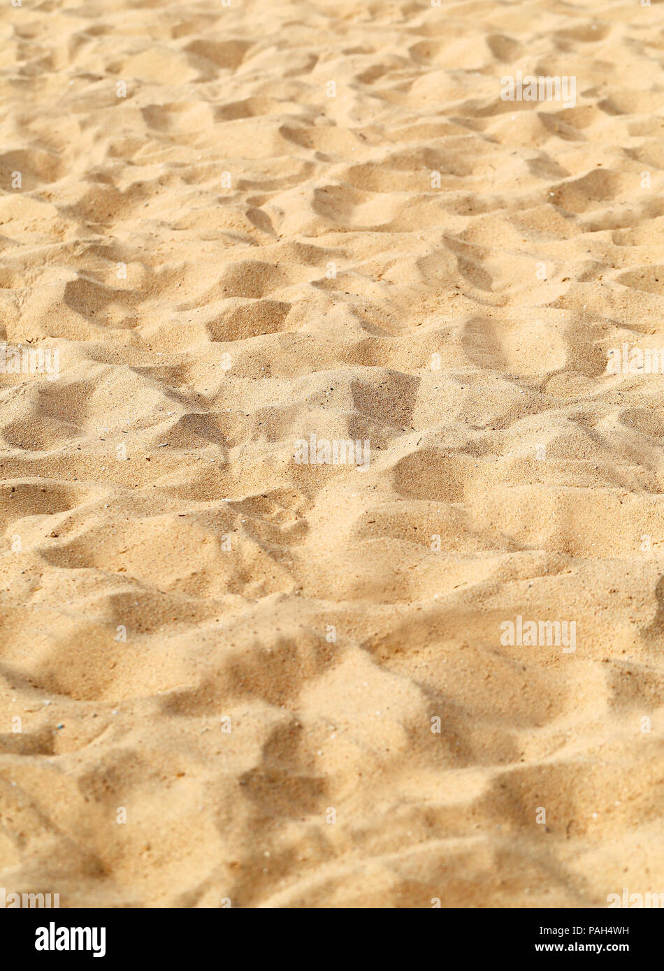Photo of a macro background of white fine sand on the beach Stock Photo ...