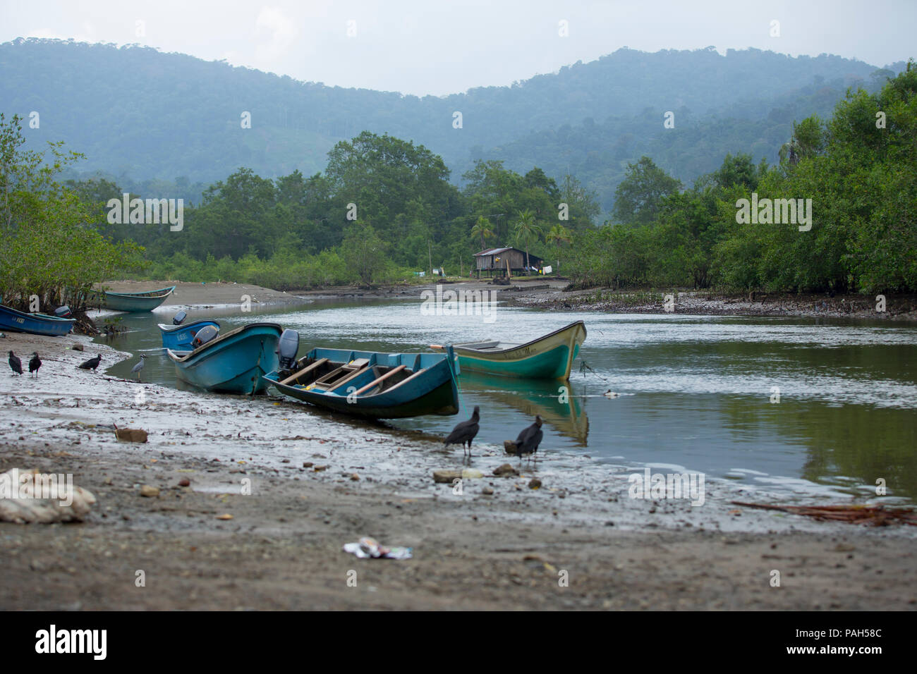 River scene trees hills hi-res stock photography and images - Alamy