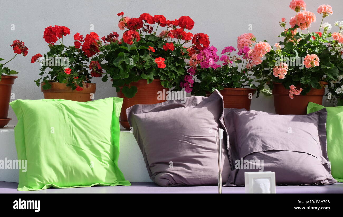 Fire zoo hi-res stock photography and images - Alamy