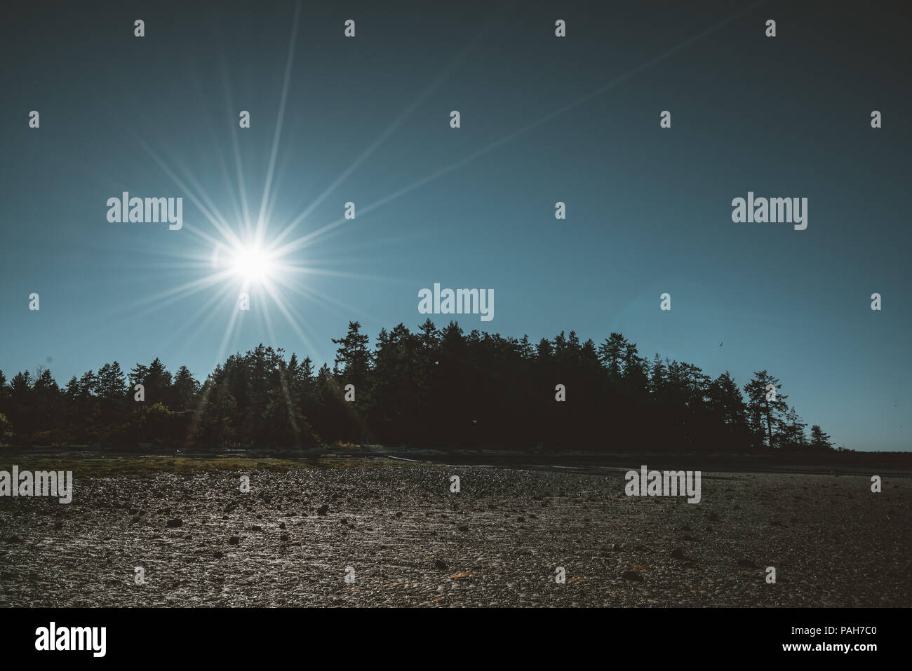 Vancouver Island beach view on a clear blue sky with sunstar and ...