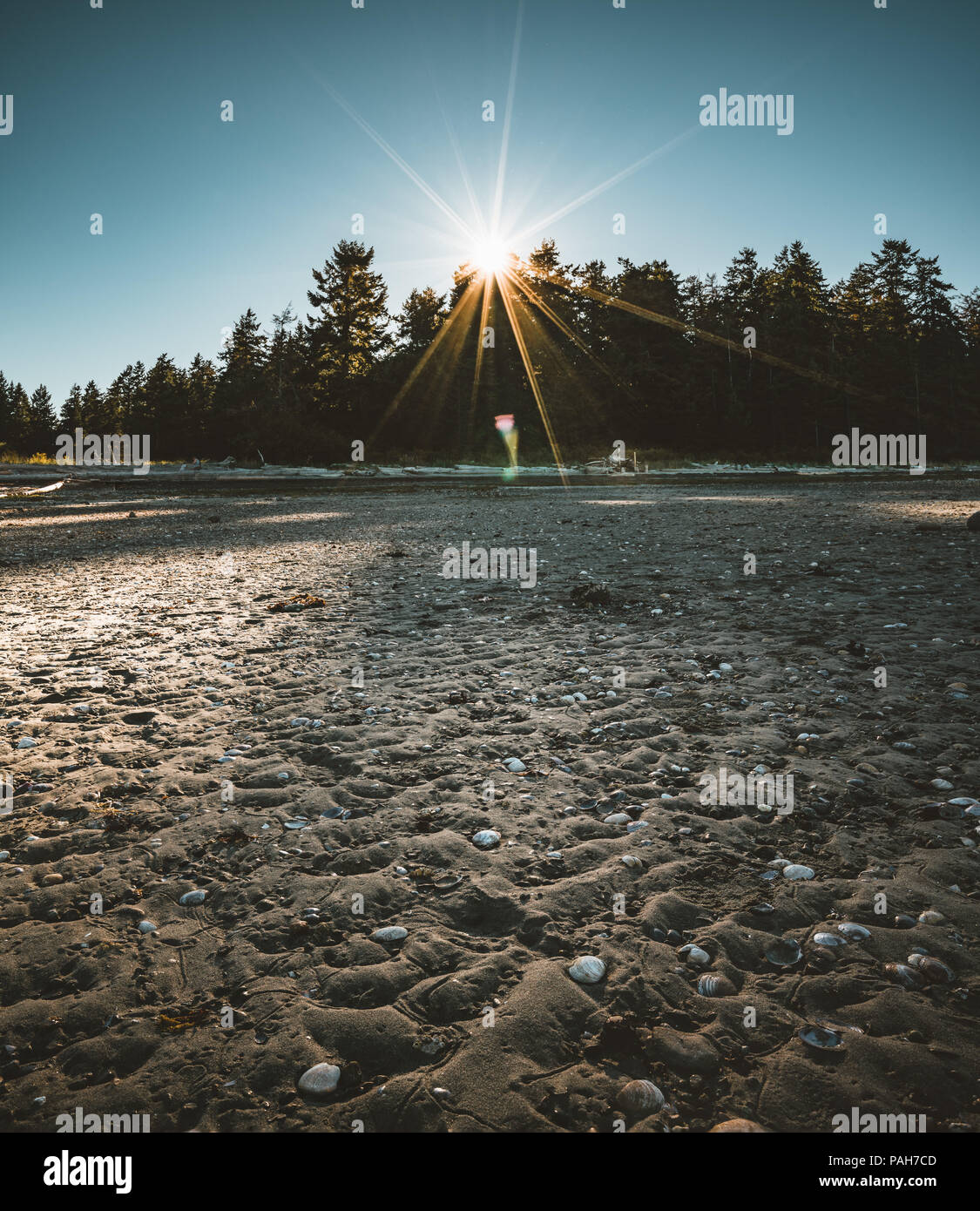 Vancouver Island beach view on a clear blue sky with sunstar and ...