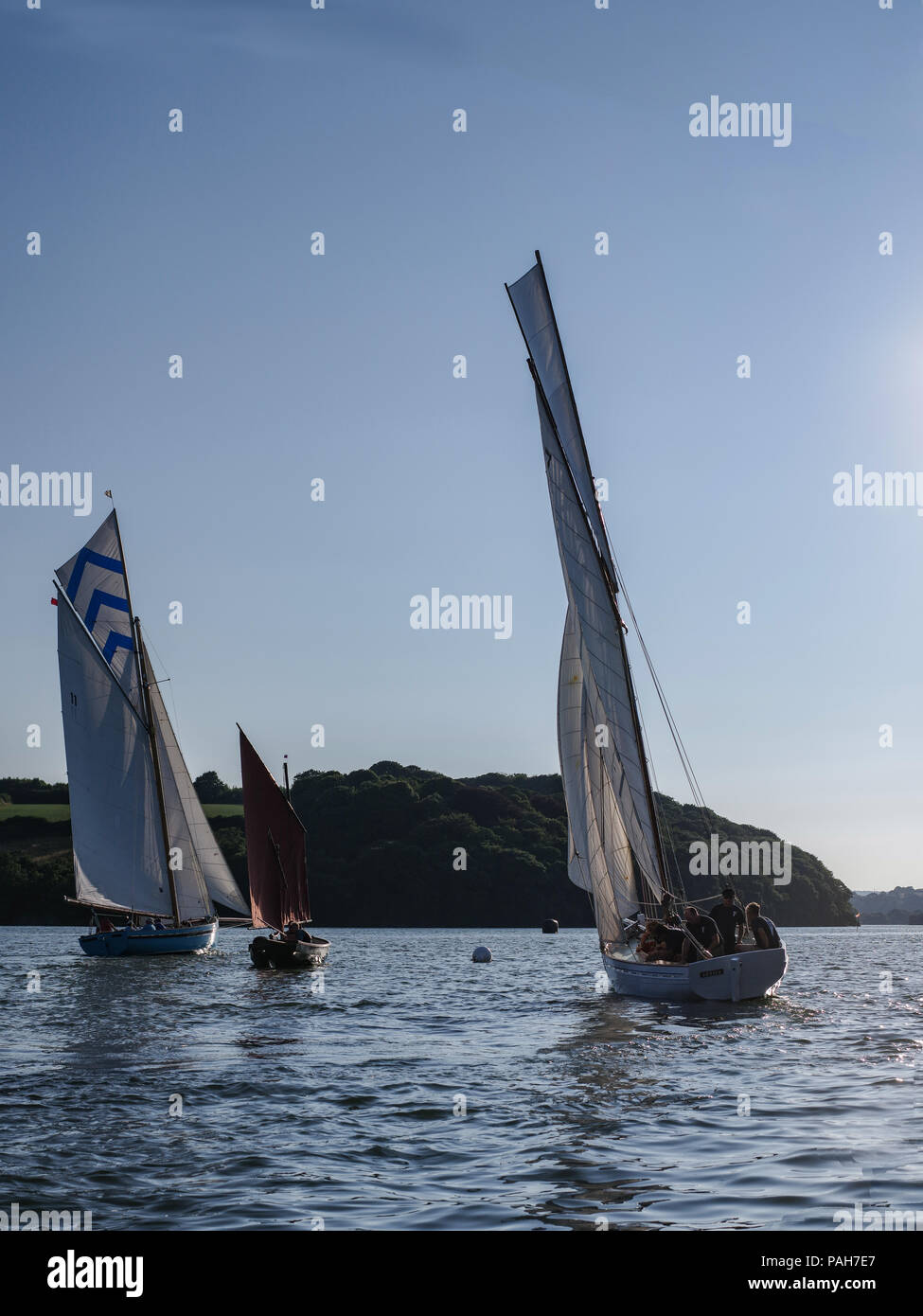 Small Cornish Village regatta hosts an annual racing event where ...