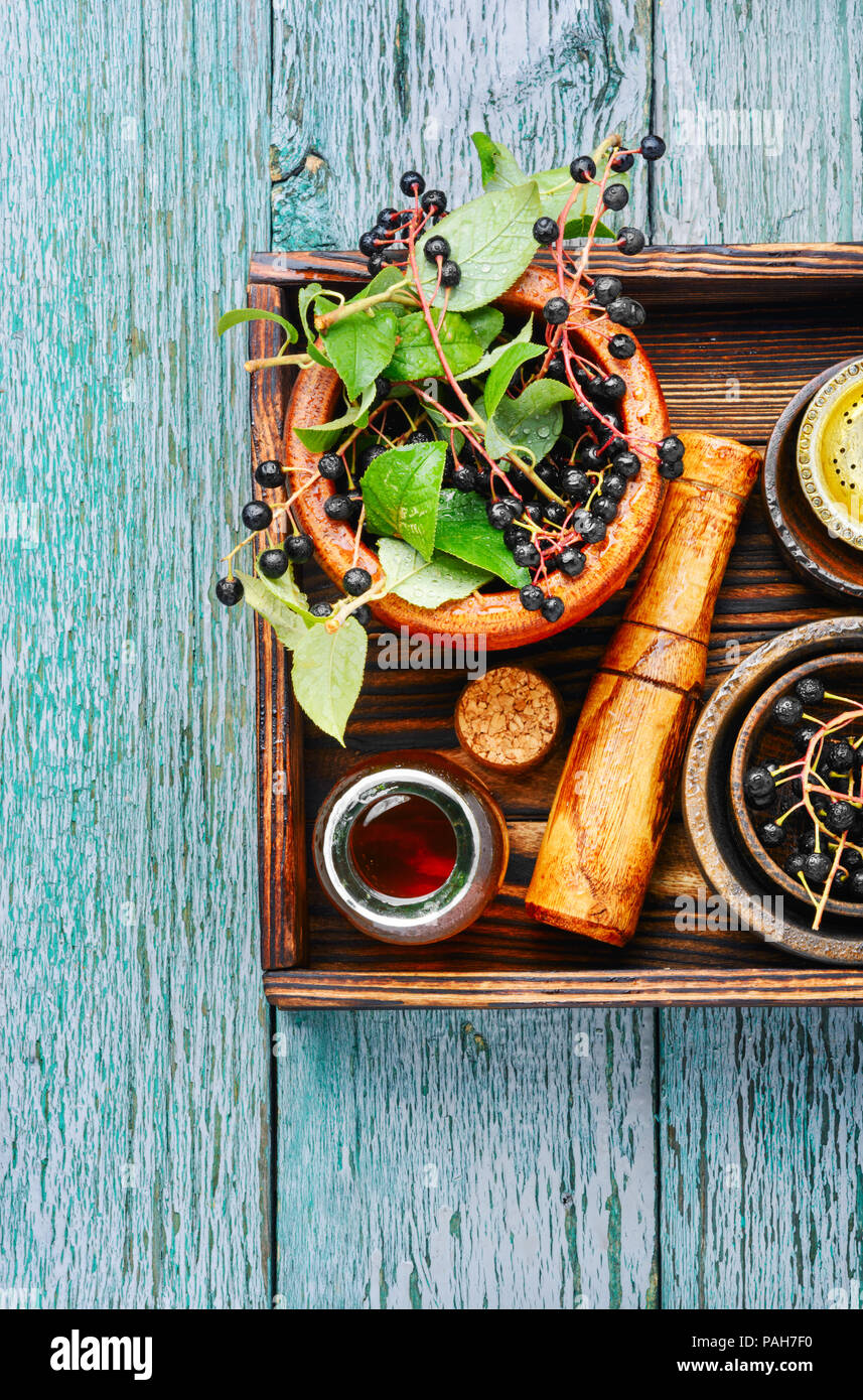 Ripe bird cherry with green leaves and medicinal extraction.Herbal ...