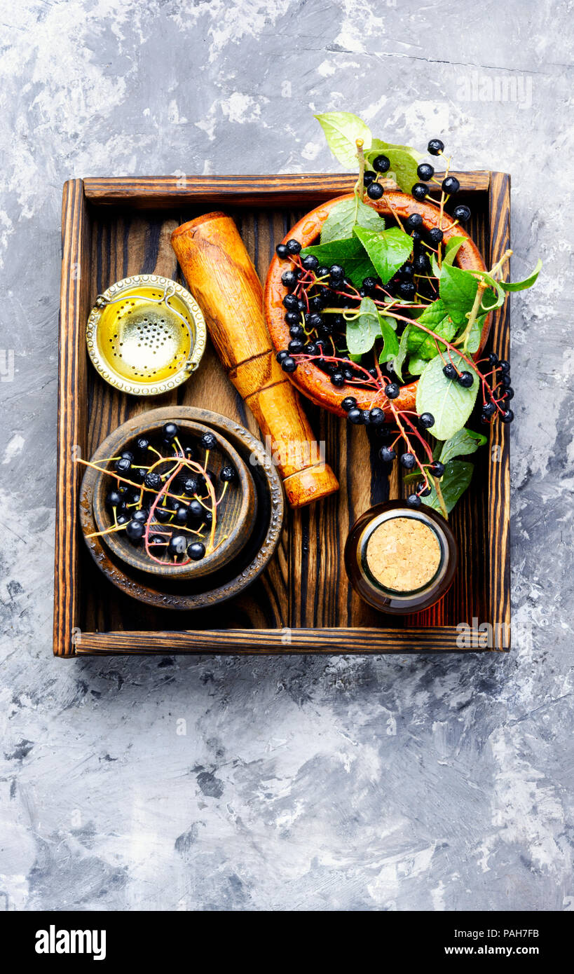 Bird-cherry with leaves and medicinal mixture.Herbal medicine Stock ...