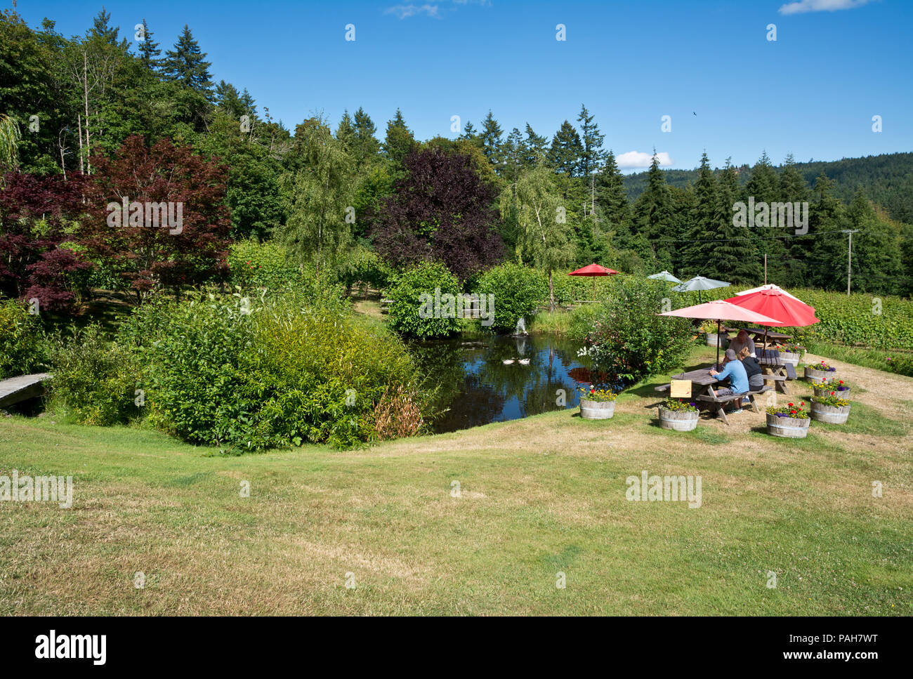 Salt Spring Island, British Columbia, Canada. Salt Spring Vineyards and ...