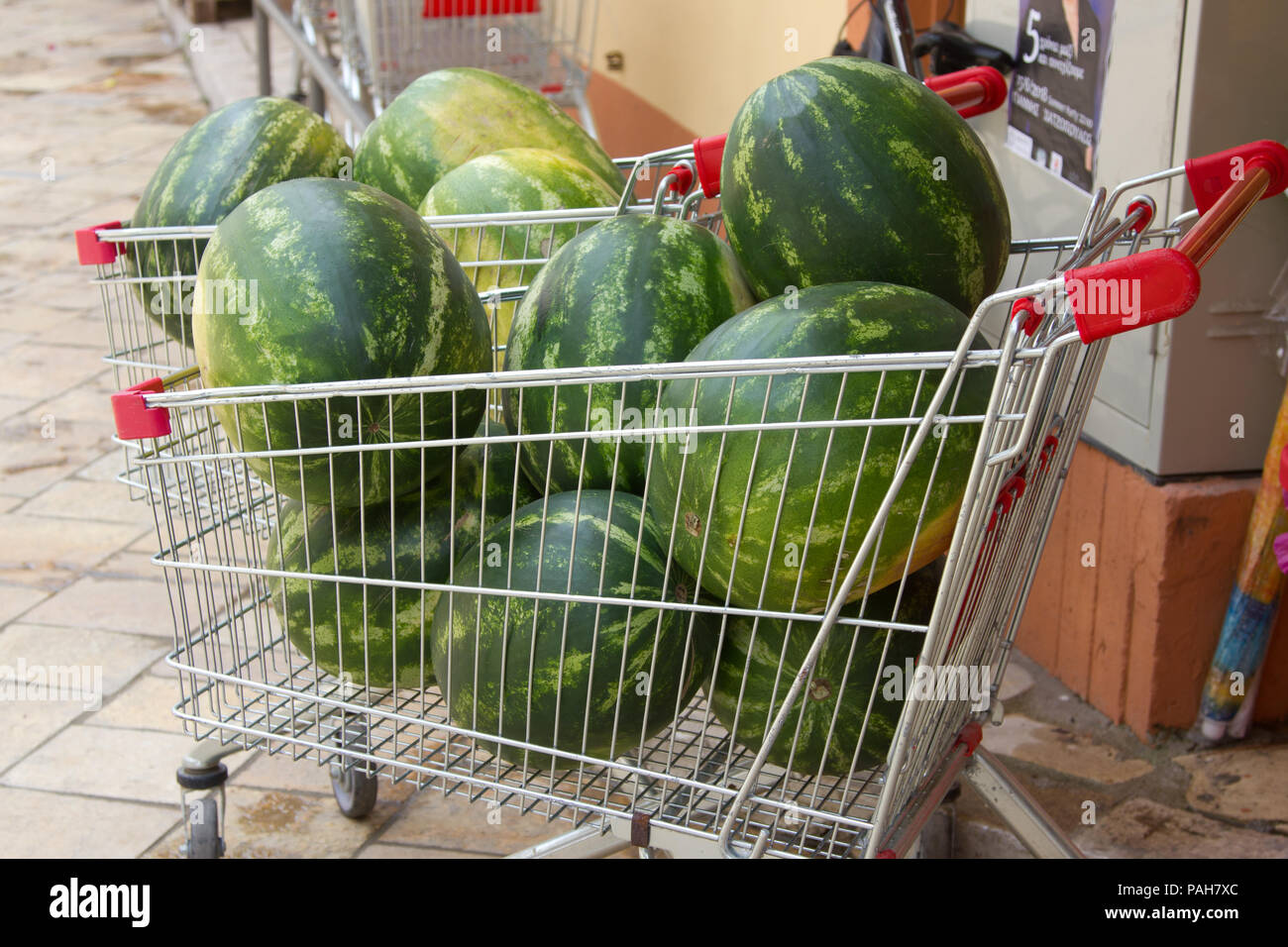 Watermelons in a supermarket trolley Stock Photo - Alamy