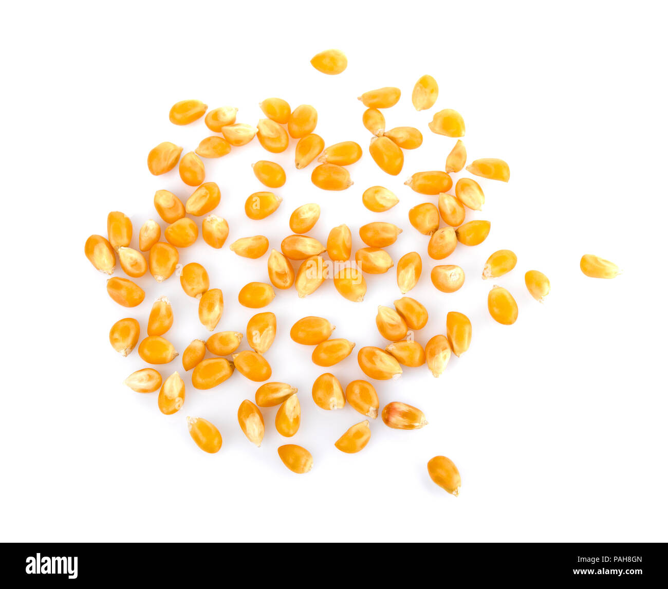 Dried yellow corn kernels on white background Stock Photo - Alamy