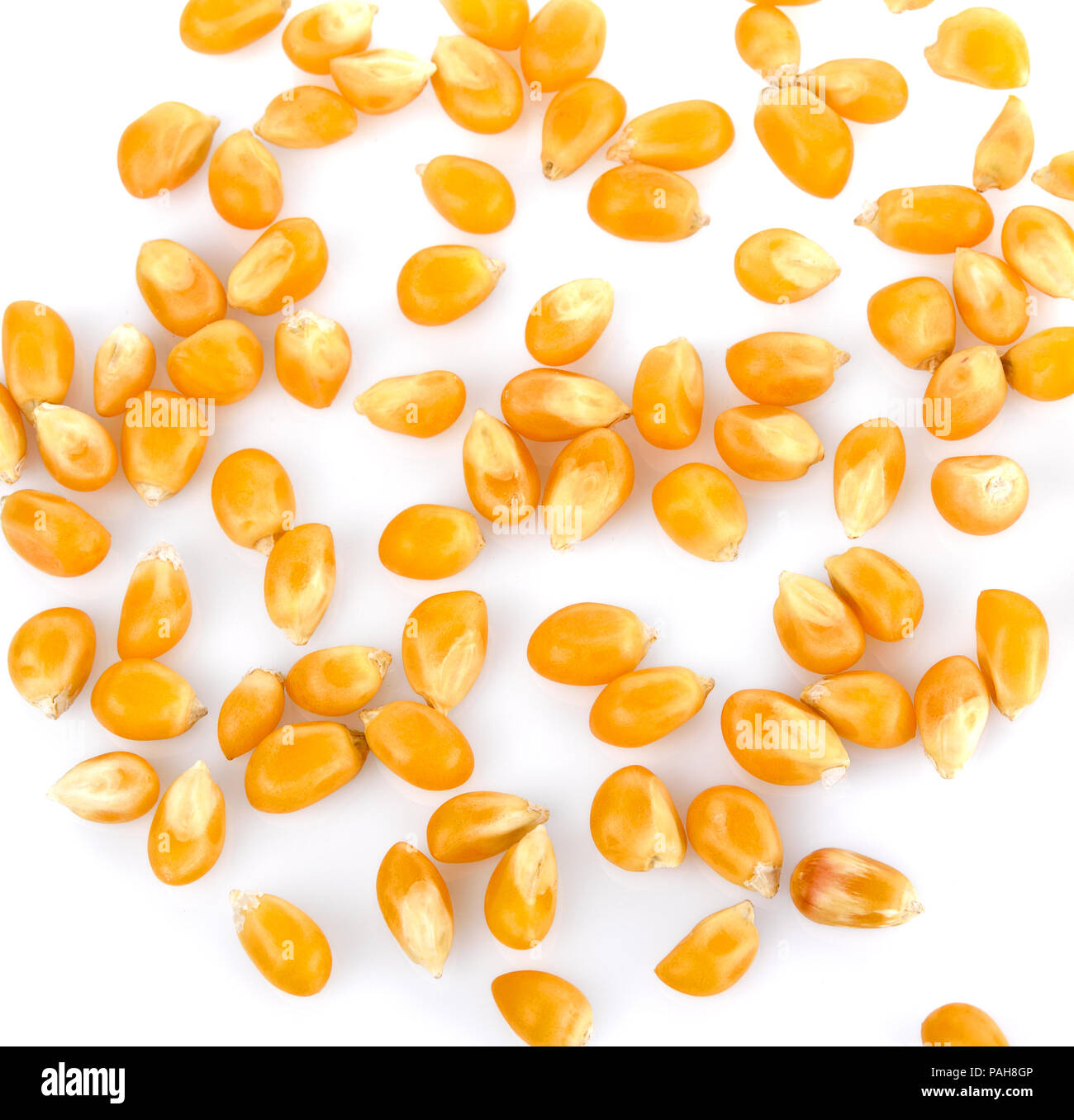 Dried yellow corn kernels on white background Stock Photo - Alamy
