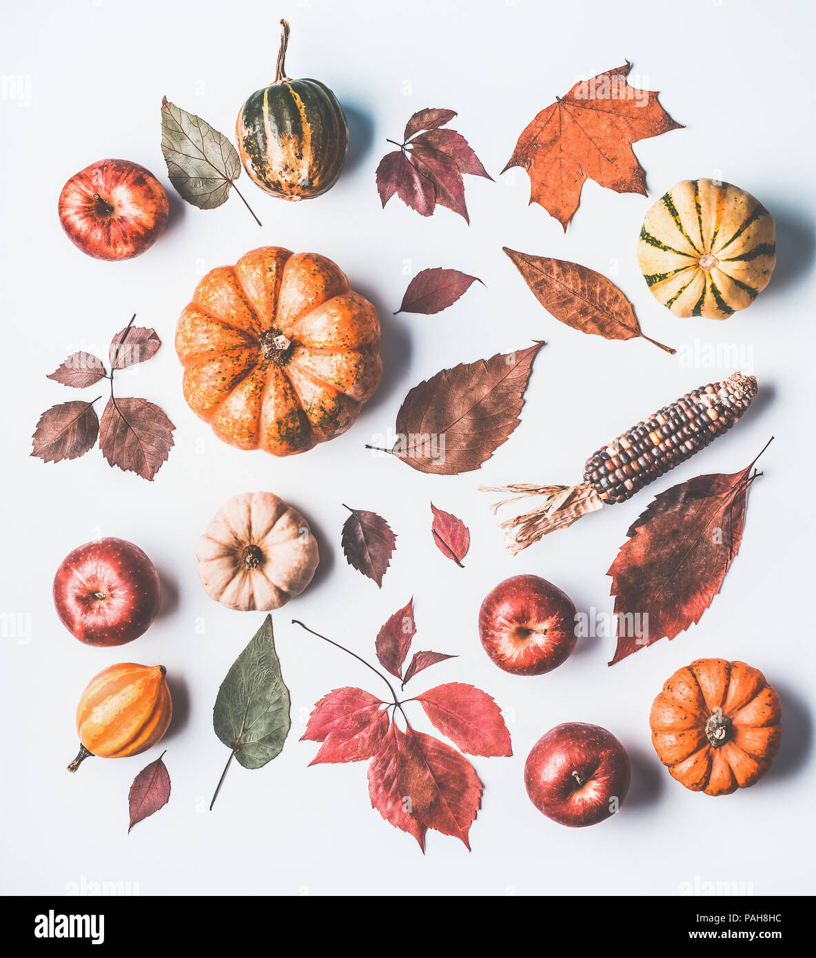 Autumn flat lay with various pumpkins and dried leaves on white ...