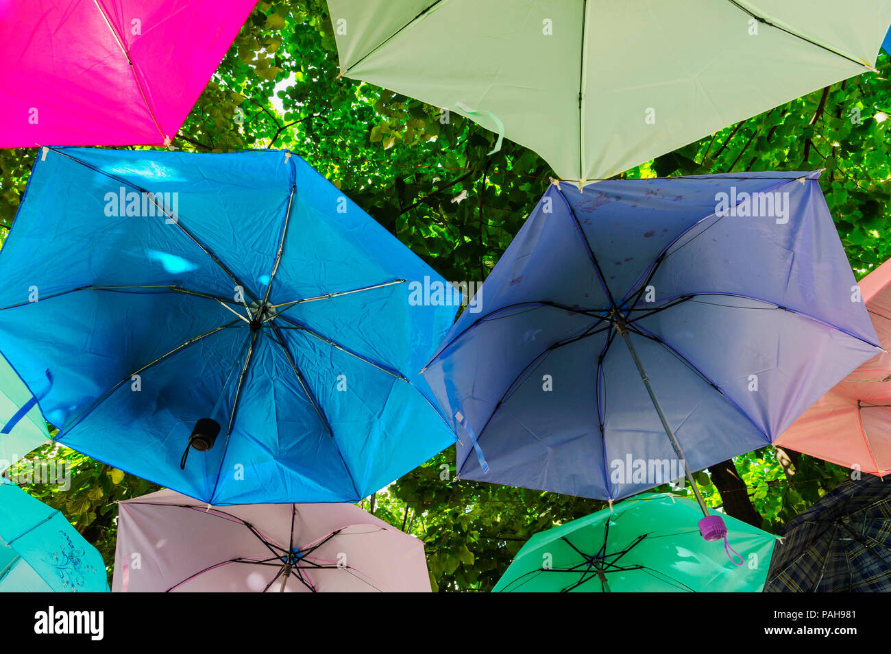 Colorful umbrellas hanging from trees in a pedestrian zone, Shkodra ...