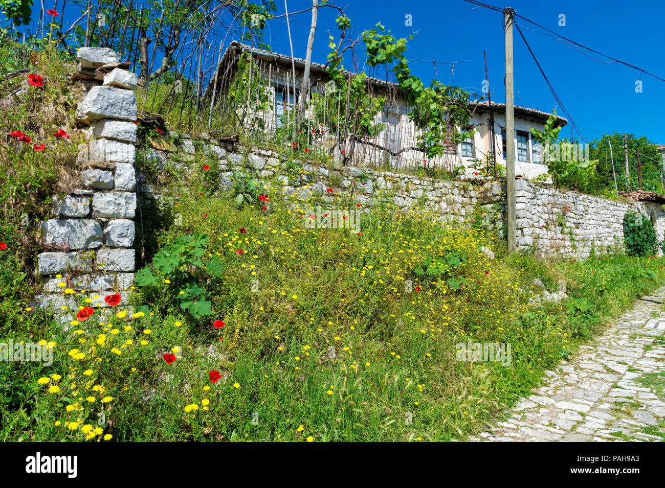 Berat Castle, Stone Houses, Berat, Albania Stock Photo - Alamy