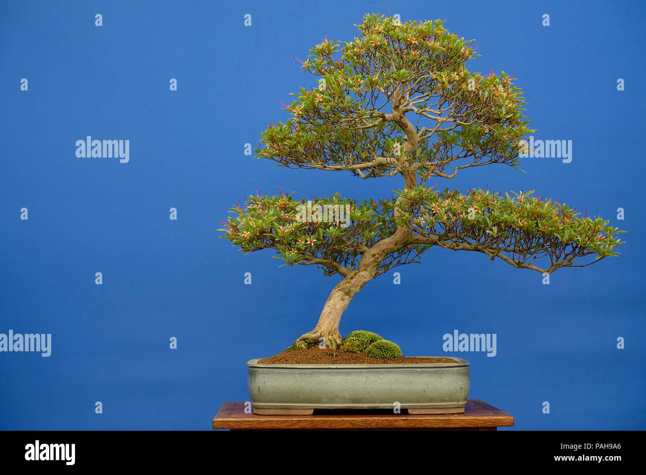 Minaturization hi-res stock photography and images - Alamy