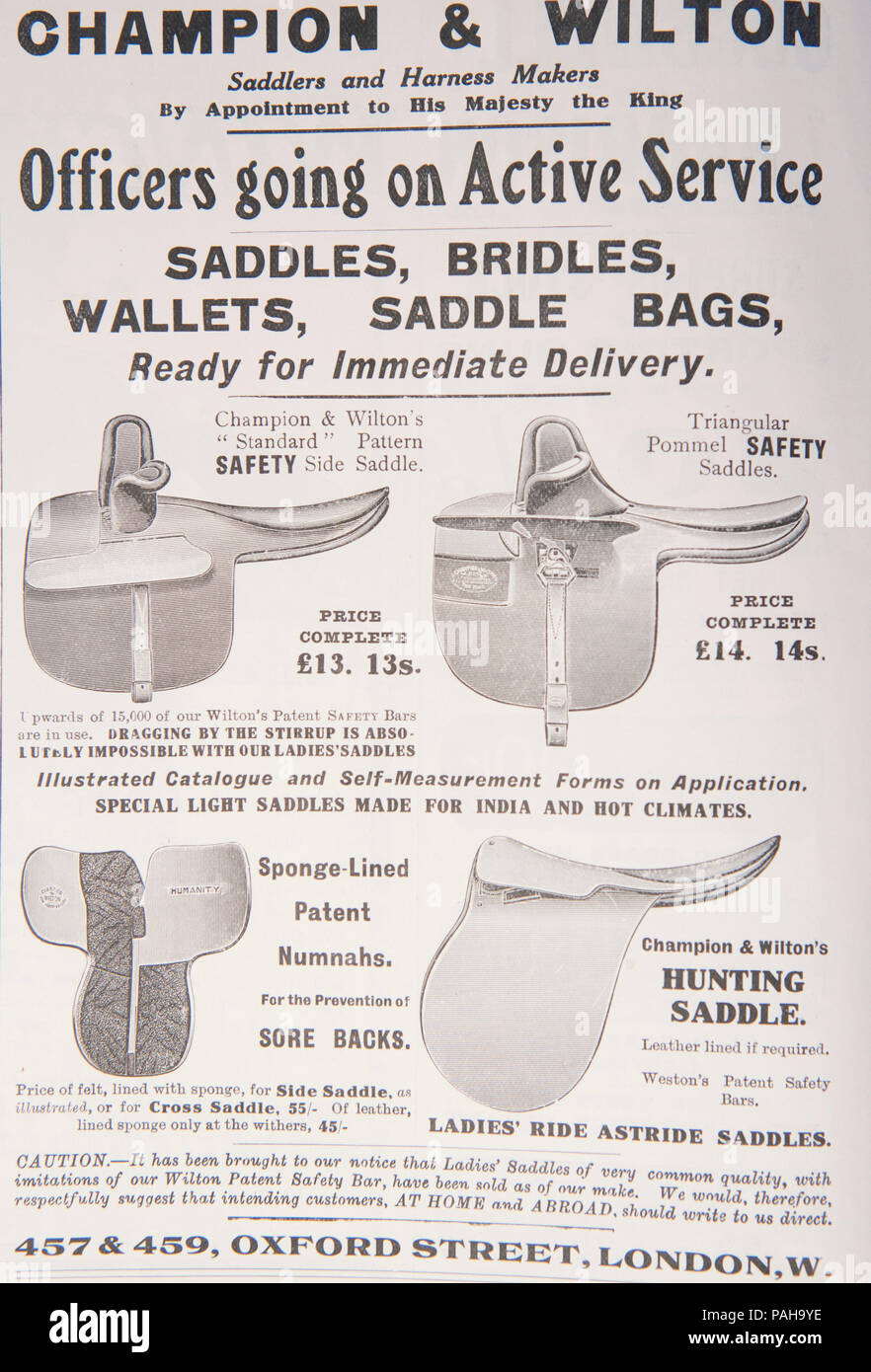 Champion & Wilton equestrian advert. From an old magazine during the ...