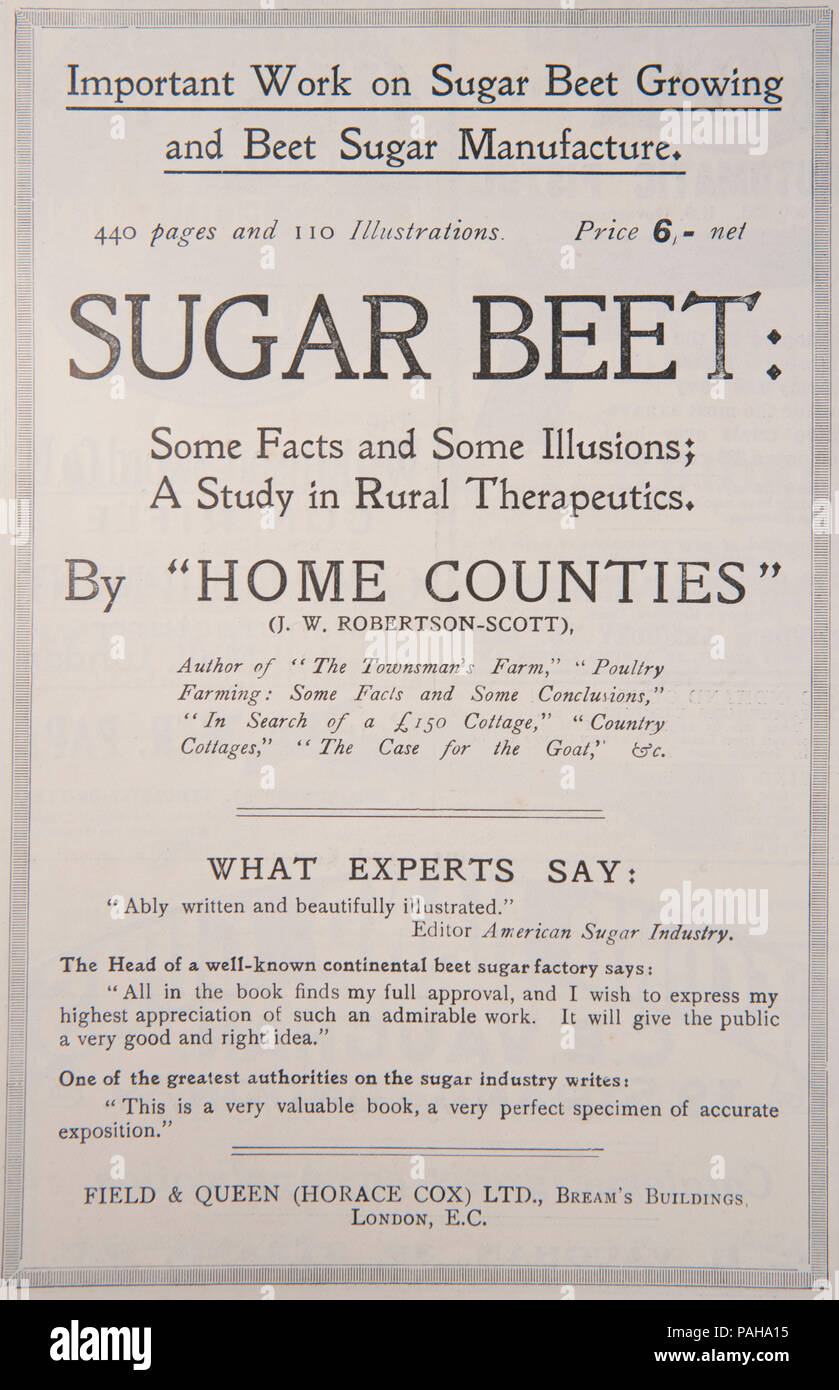 Sugar beet advert. From an old magazine during the 1914-1918 period. UK ...