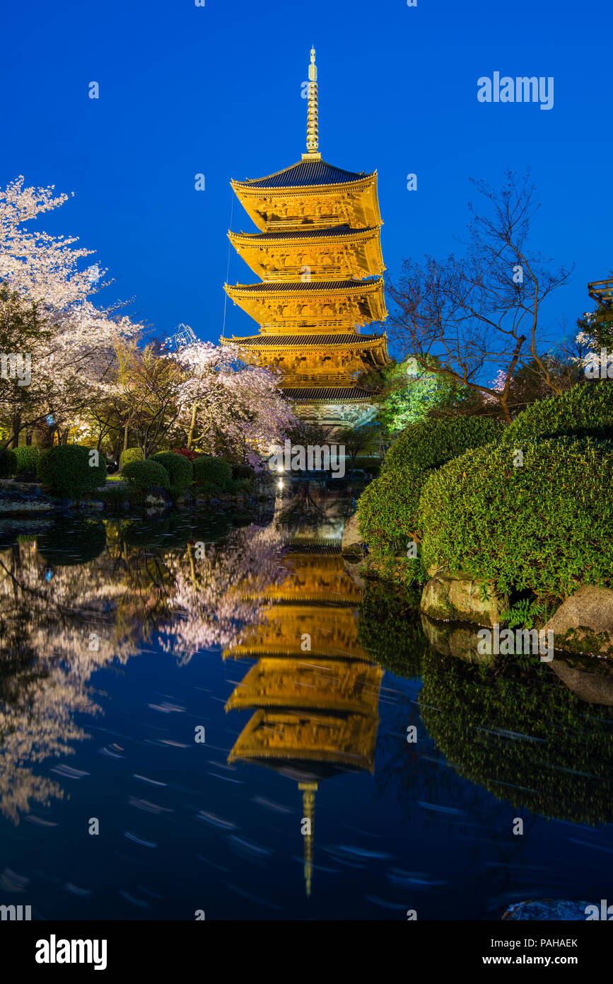 The pagoda of Toji Temple at night during cherry blossom season, Kyoto ...