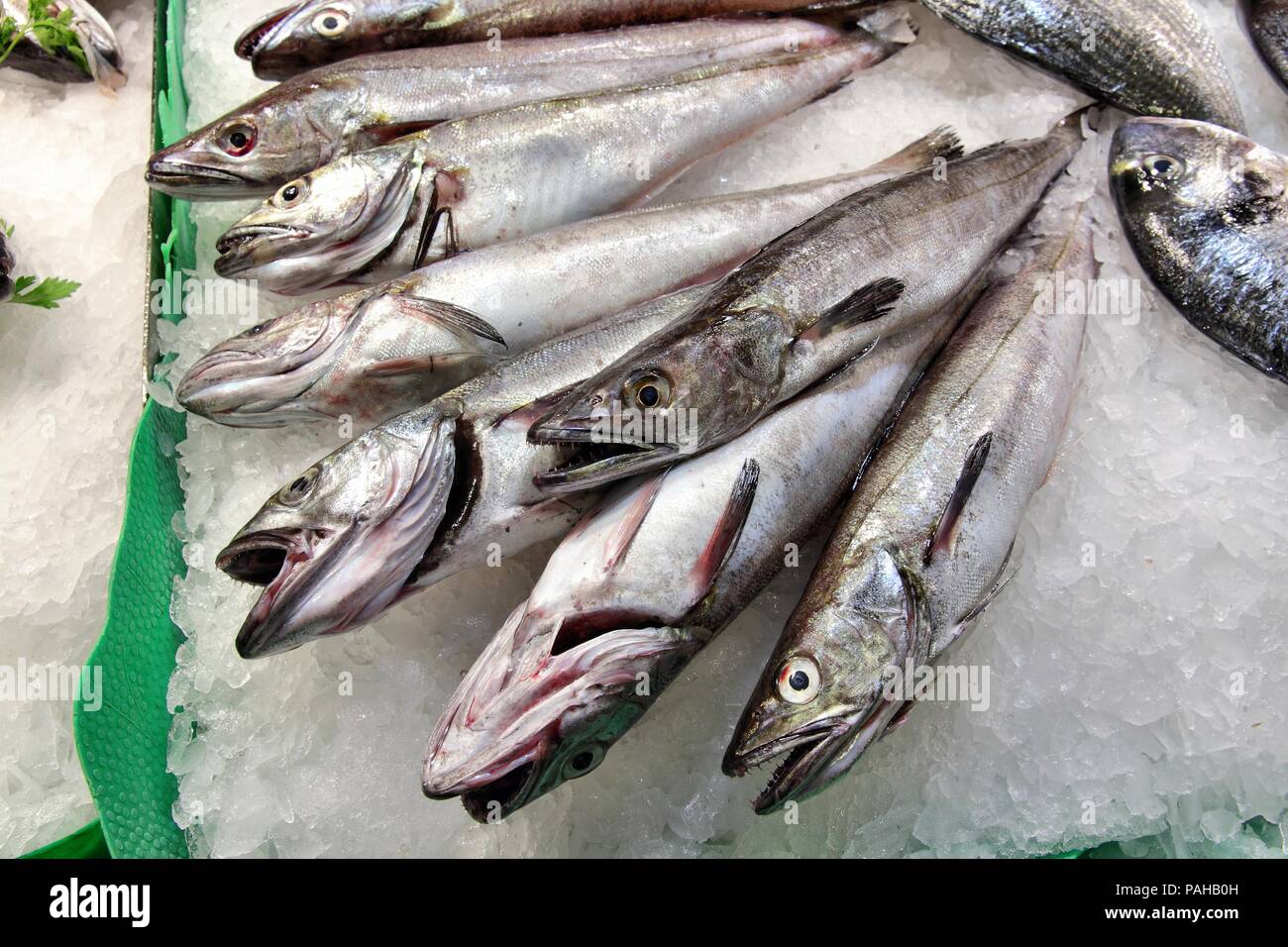 Fish market at Boqueria market in Barcelona, Spain. Fresh European ...