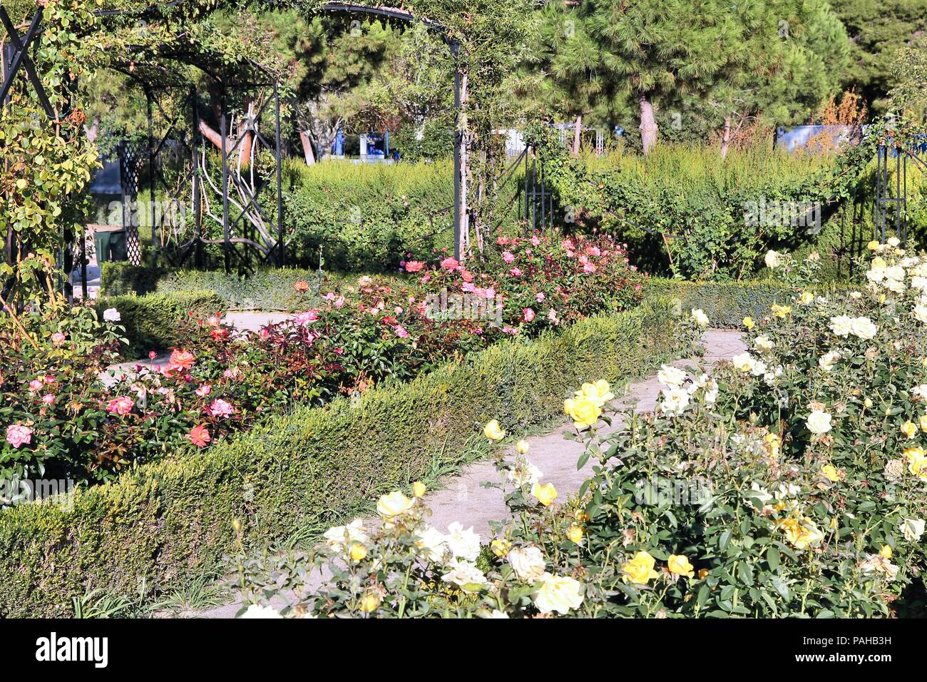 Madrid, capital city of Spain. Rose garden (rosarium) in Retiro Park ...