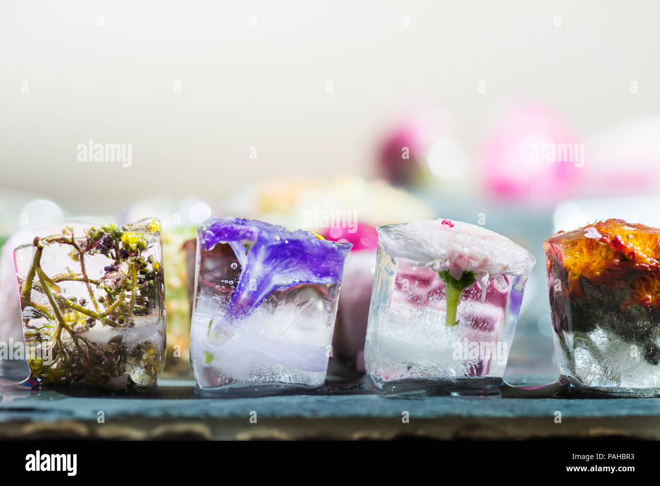 Frozen Spring Flowers in Ice Cubes on Dark Background Stock Photo - Alamy