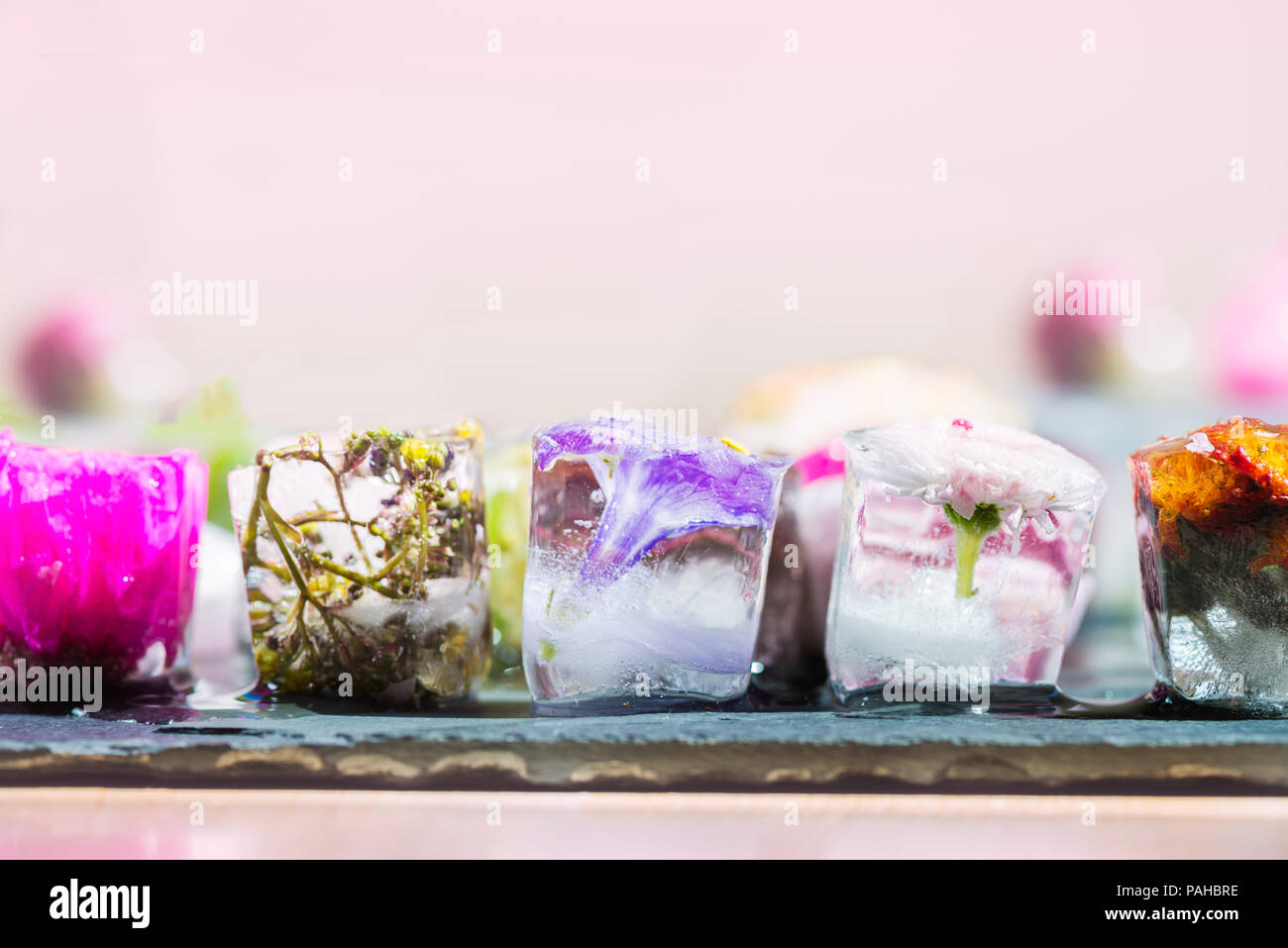 Frozen Spring Flowers in Ice Cubes on Dark Background Stock Photo - Alamy
