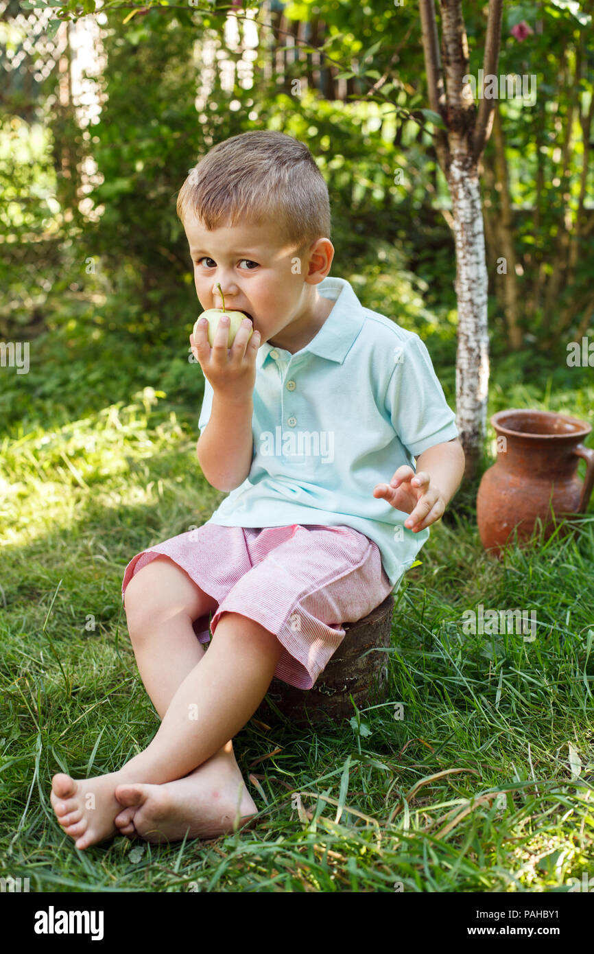 Little boy eats green apple sitting on a tree stump. Active little boy ...