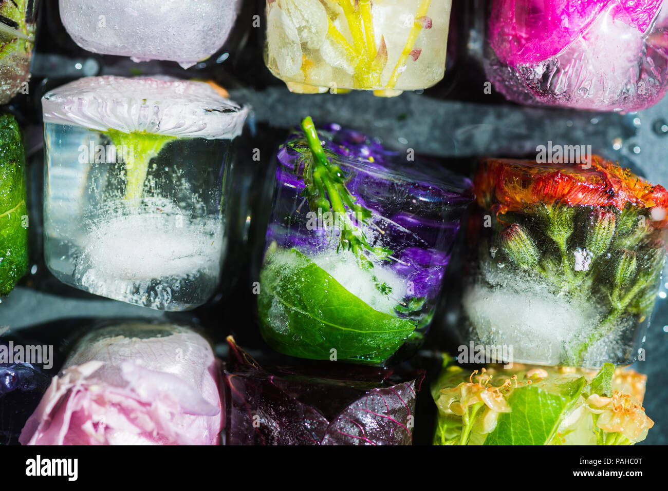Frozen Spring Flowers in Ice Cubes on Dark Background Stock Photo - Alamy
