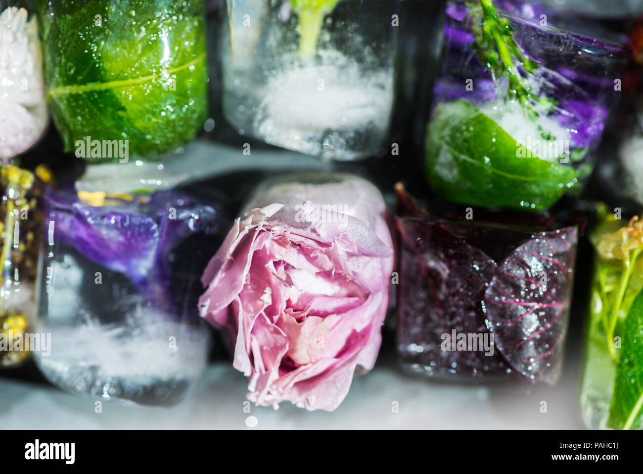 Frozen Spring Flowers in Ice Cubes on Dark Background Stock Photo - Alamy