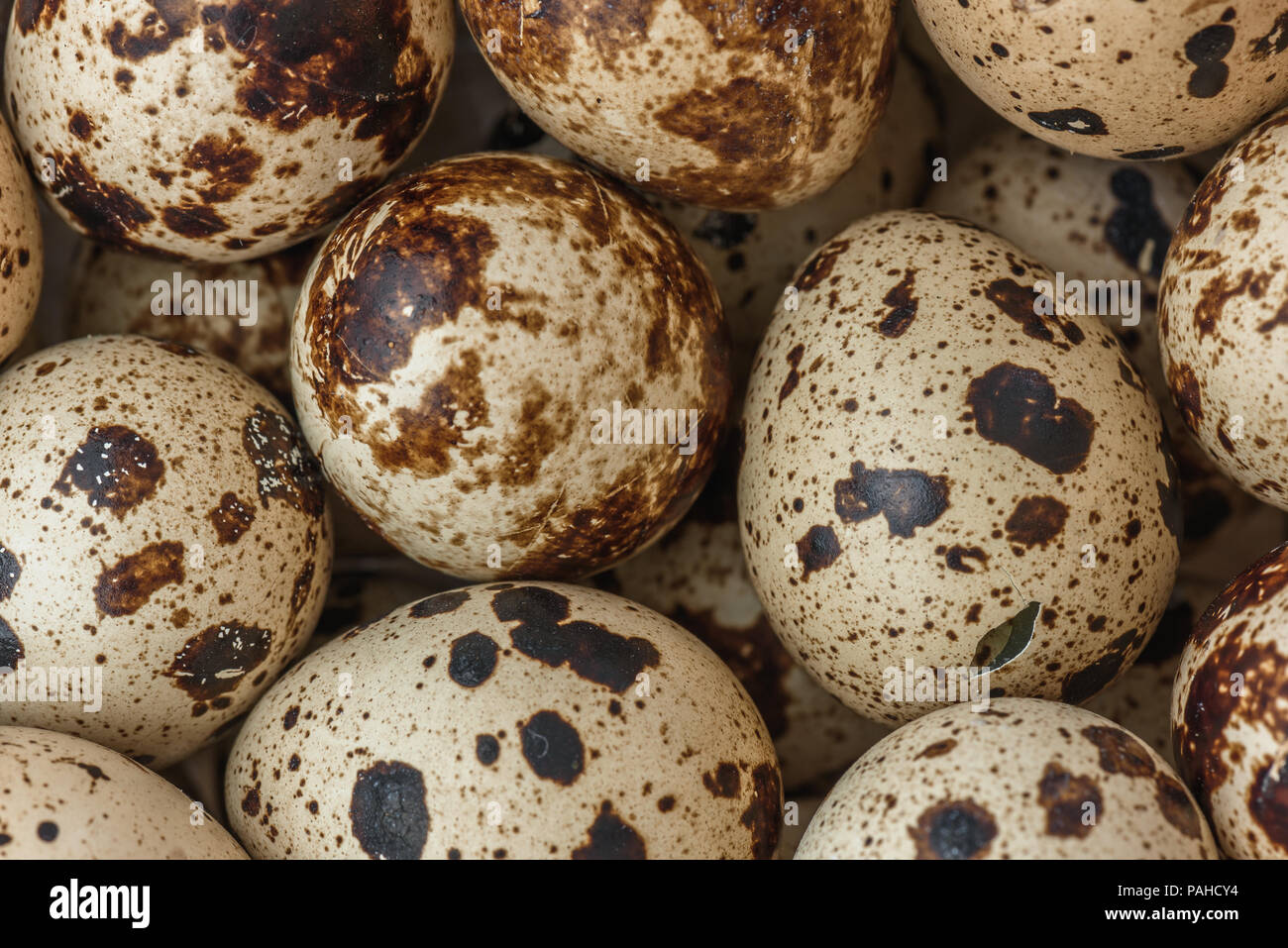 Egg scattering hi-res stock photography and images - Alamy