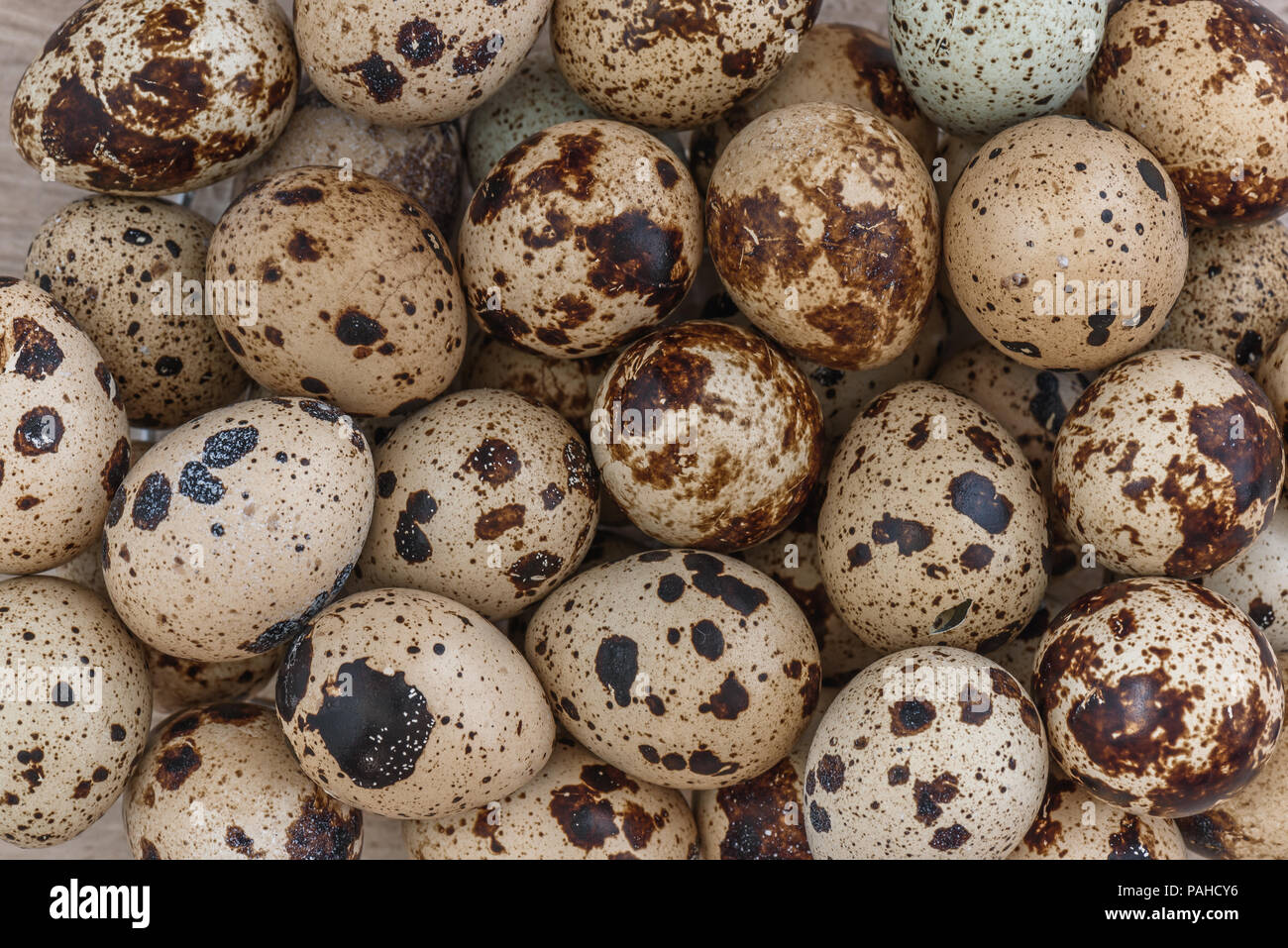 Egg scattering hi-res stock photography and images - Alamy