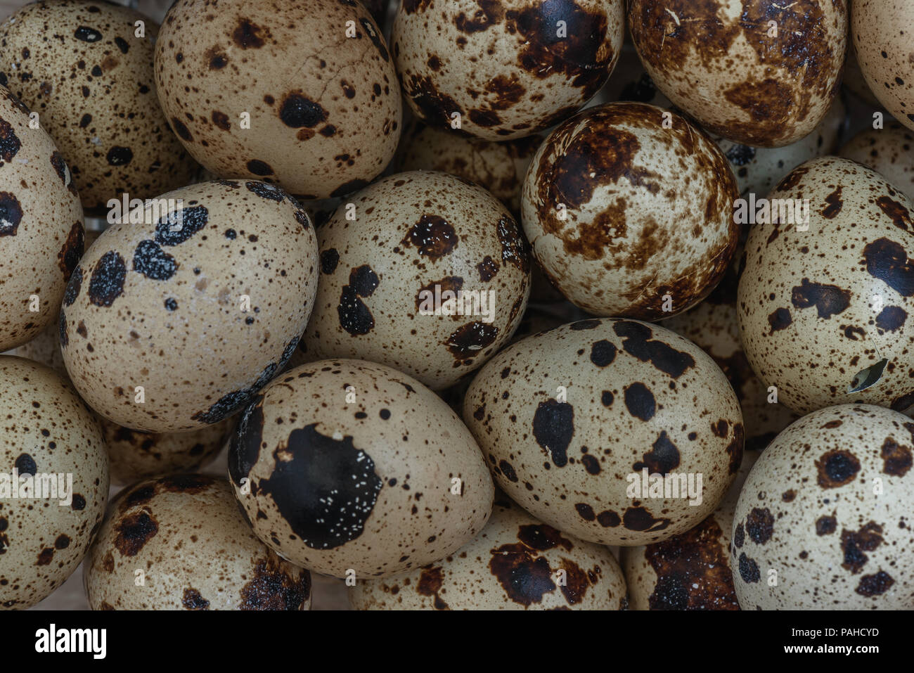 Egg scattering hi-res stock photography and images - Alamy