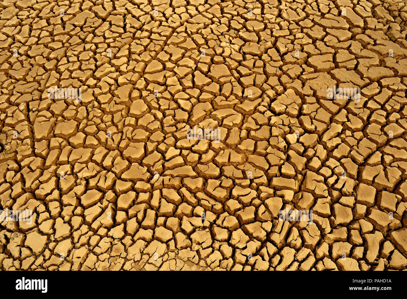 Earth Element Photography