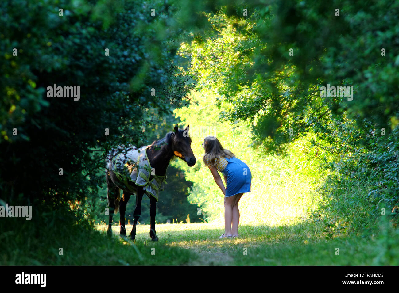 young girl talking to a small pony in the countryside Stock Photo - Alamy