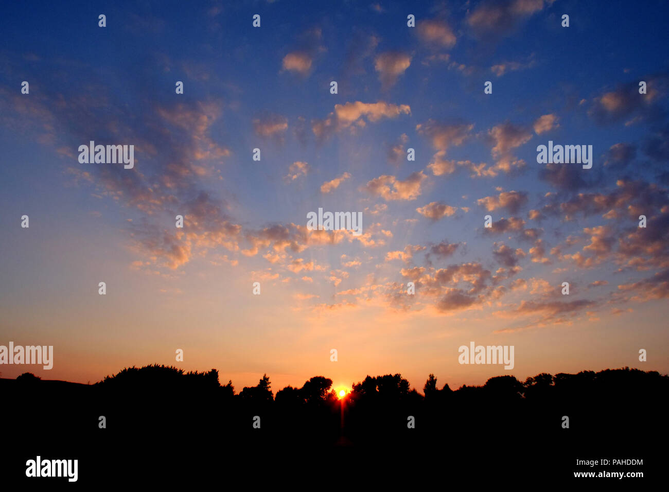 See dark trees hi-res stock photography and images - Alamy