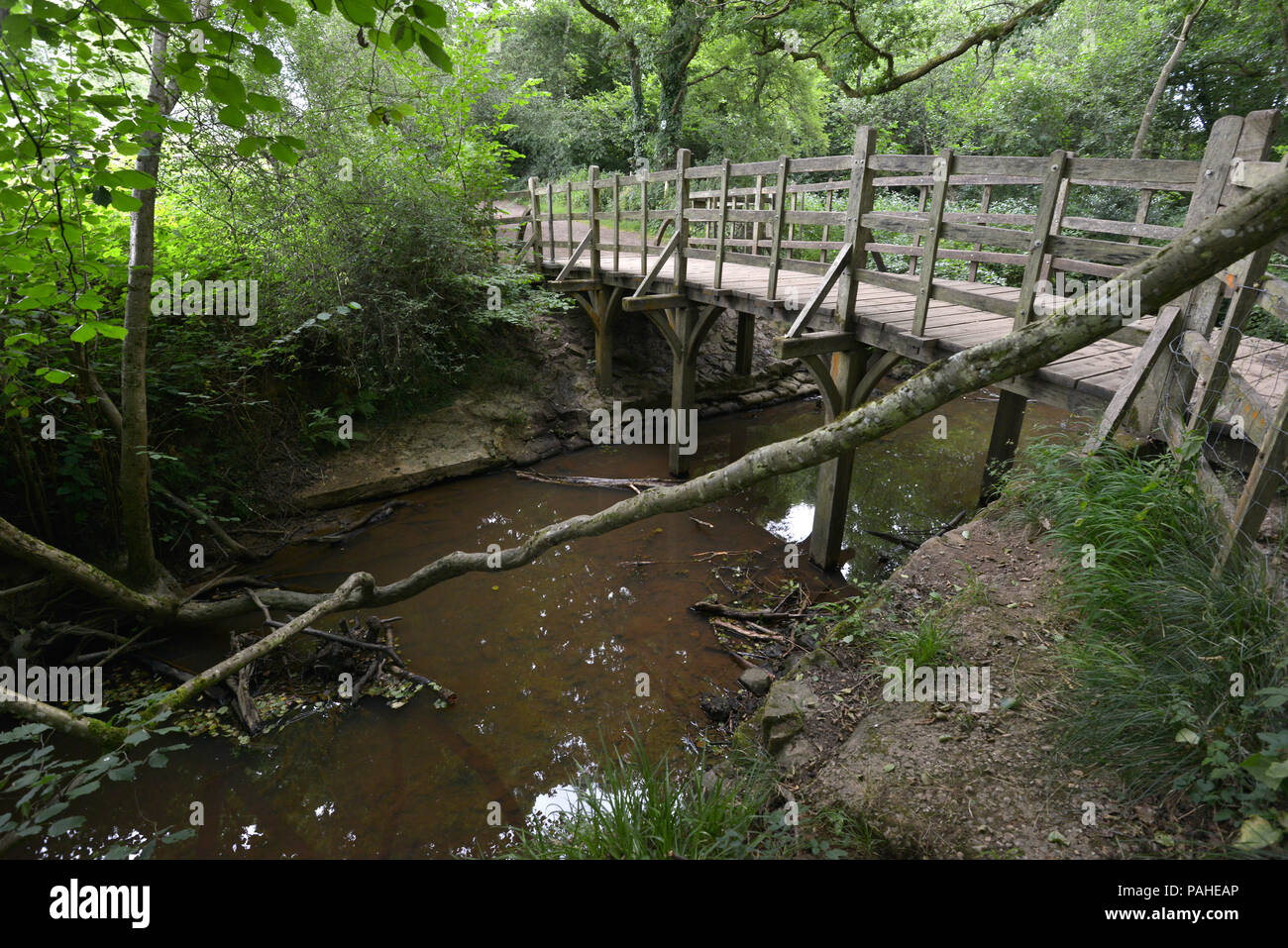 The original Pooh Bridge, Hartfield, East Sussex Stock Photo - Alamy