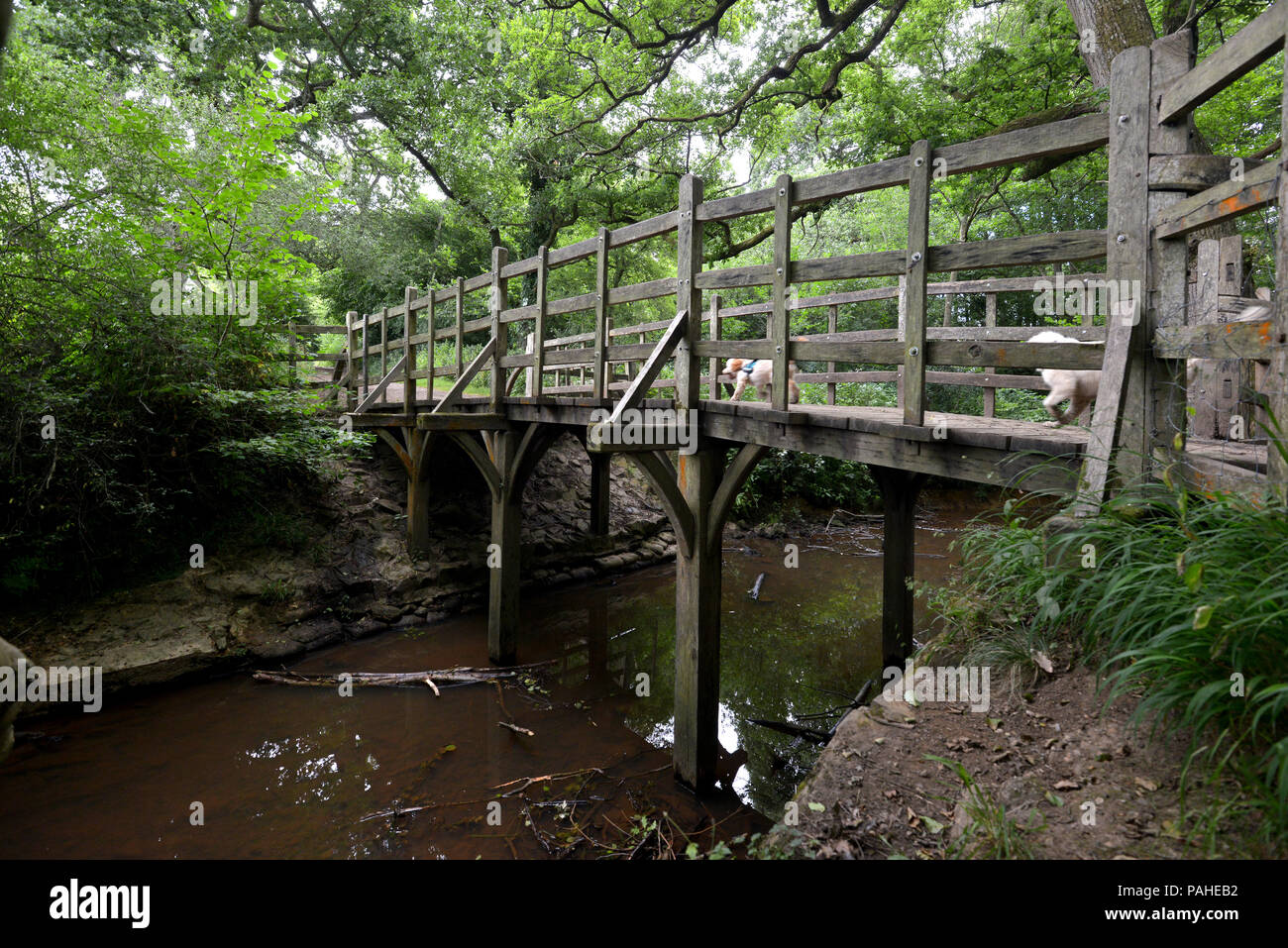 Pooh Sticks Bridge Stock Photos & Pooh Sticks Bridge Stock Images - Alamy