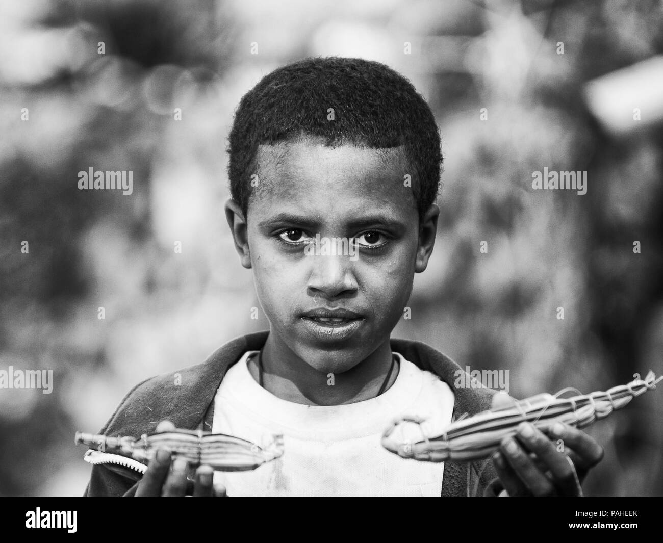 African native plants Black and White Stock Photos & Images - Alamy