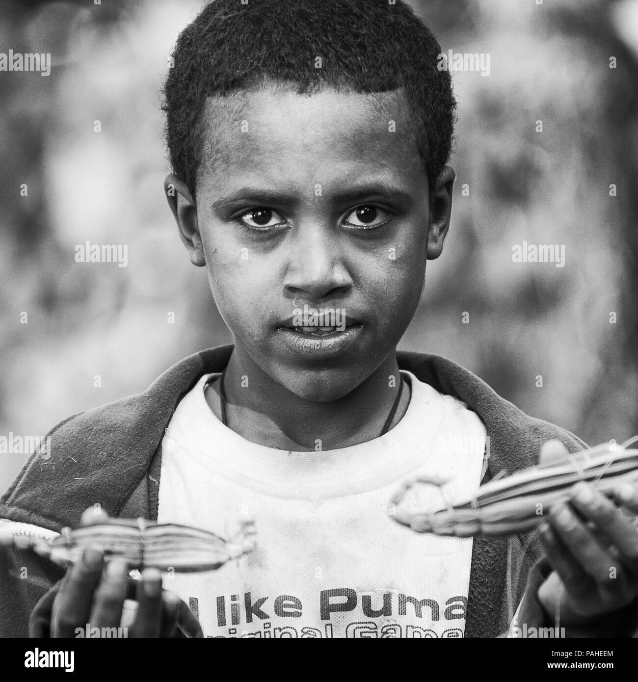 African native plants Black and White Stock Photos & Images - Alamy