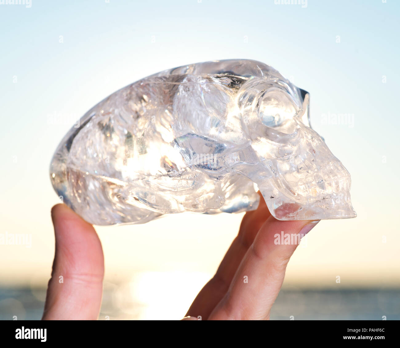Woman's hand holding Quartz Carved Elongated Mayan Alien Crystal Skull ...