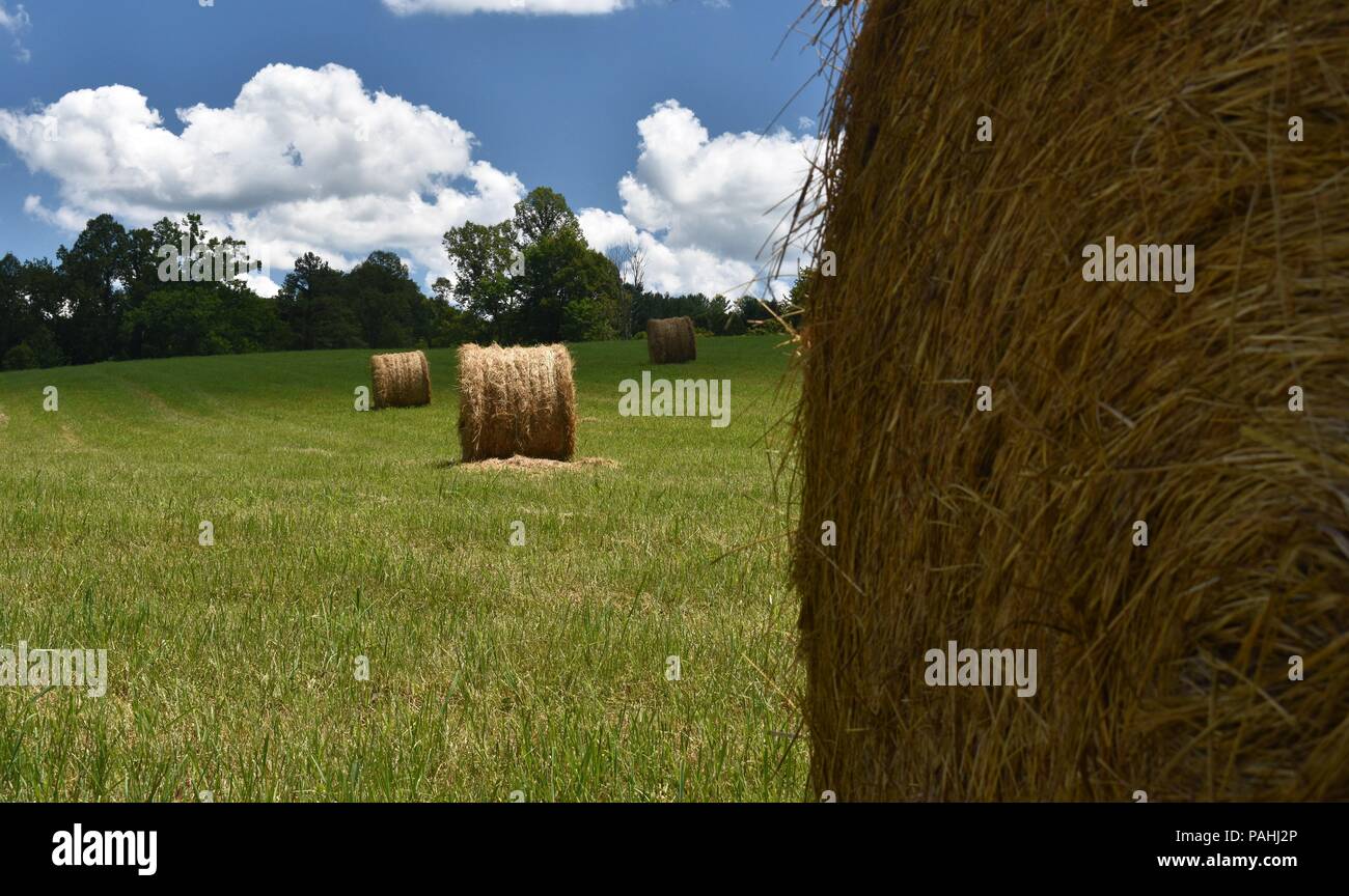 Day out on the farm hi-res stock photography and images - Alamy