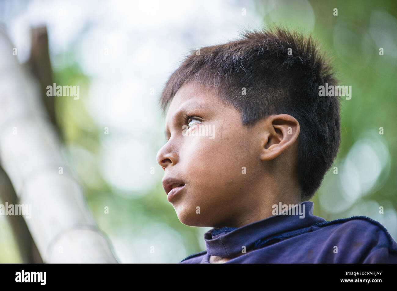 AMAZONIA, PERU - NOV 10, 2010: Unidentified Amazonian boy portrait ...