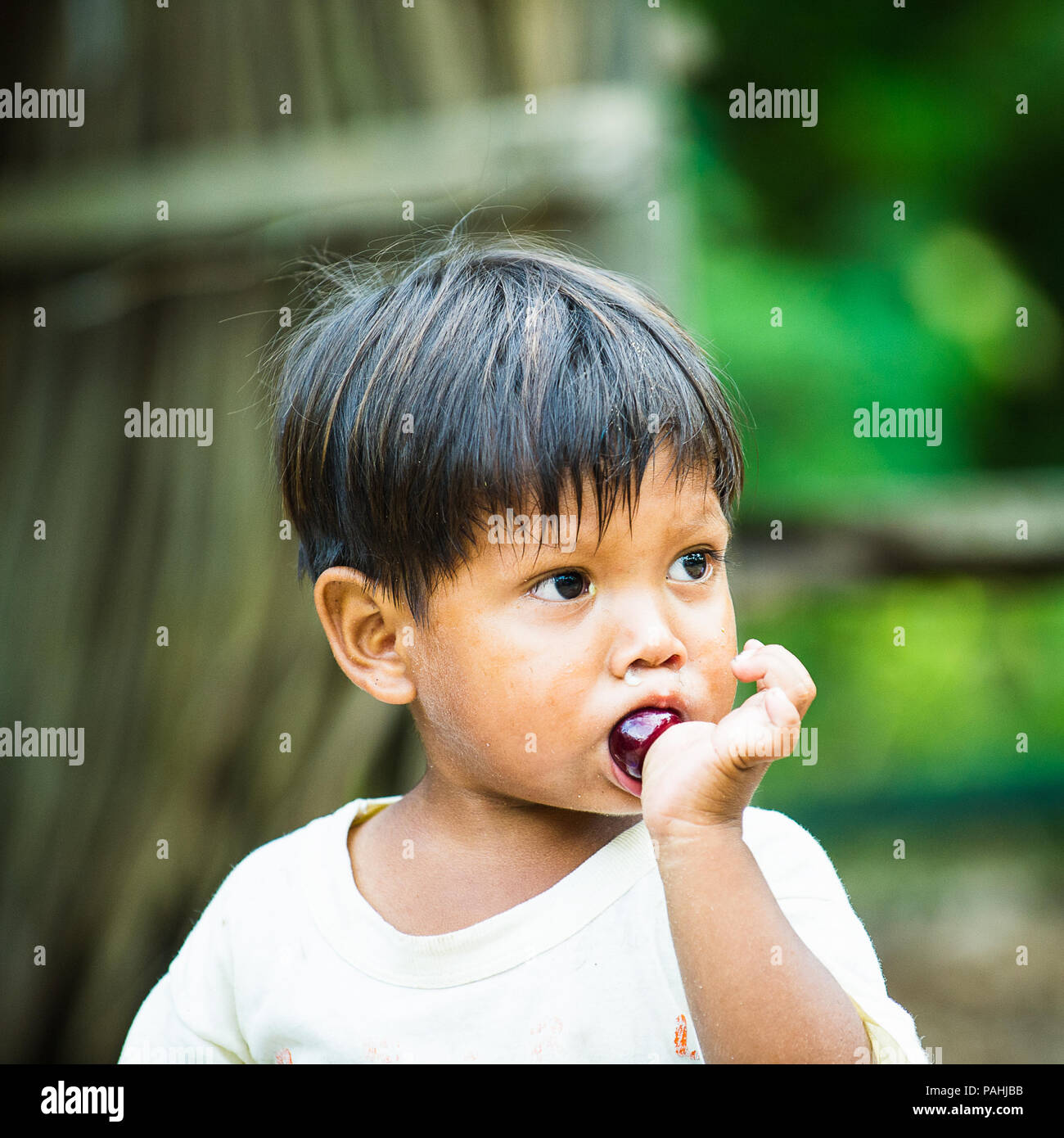 AMAZONIA, PERU - NOV 10, 2010: Unidentified Amazonian indigenous boy ...