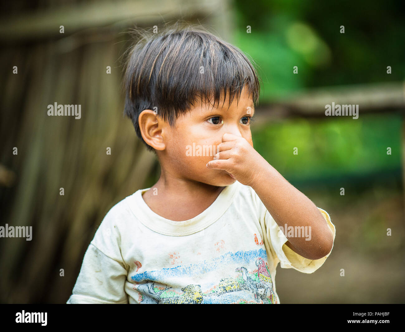 AMAZONIA, PERU - NOV 10, 2010: Unidentified Amazonian indigenous boy ...