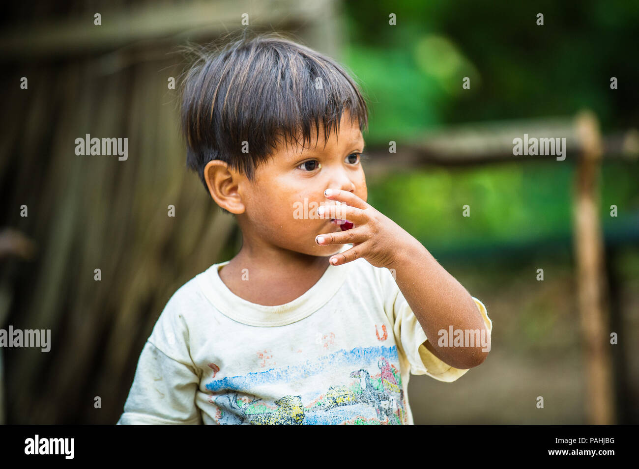 AMAZONIA, PERU - NOV 10, 2010: Unidentified Amazonian indigenous boy ...