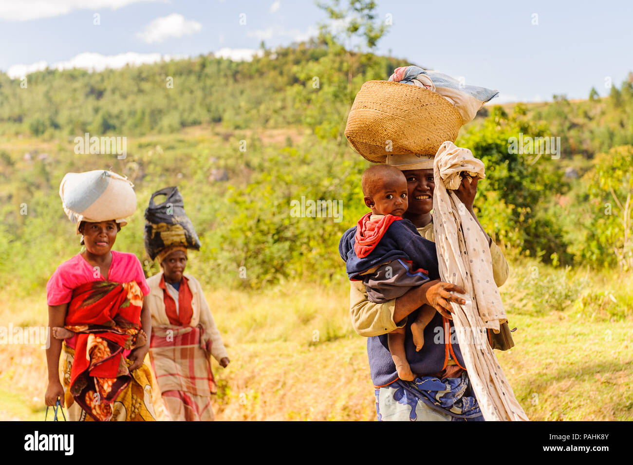 Madagascar indigenous animal hi-res stock photography and images - Alamy