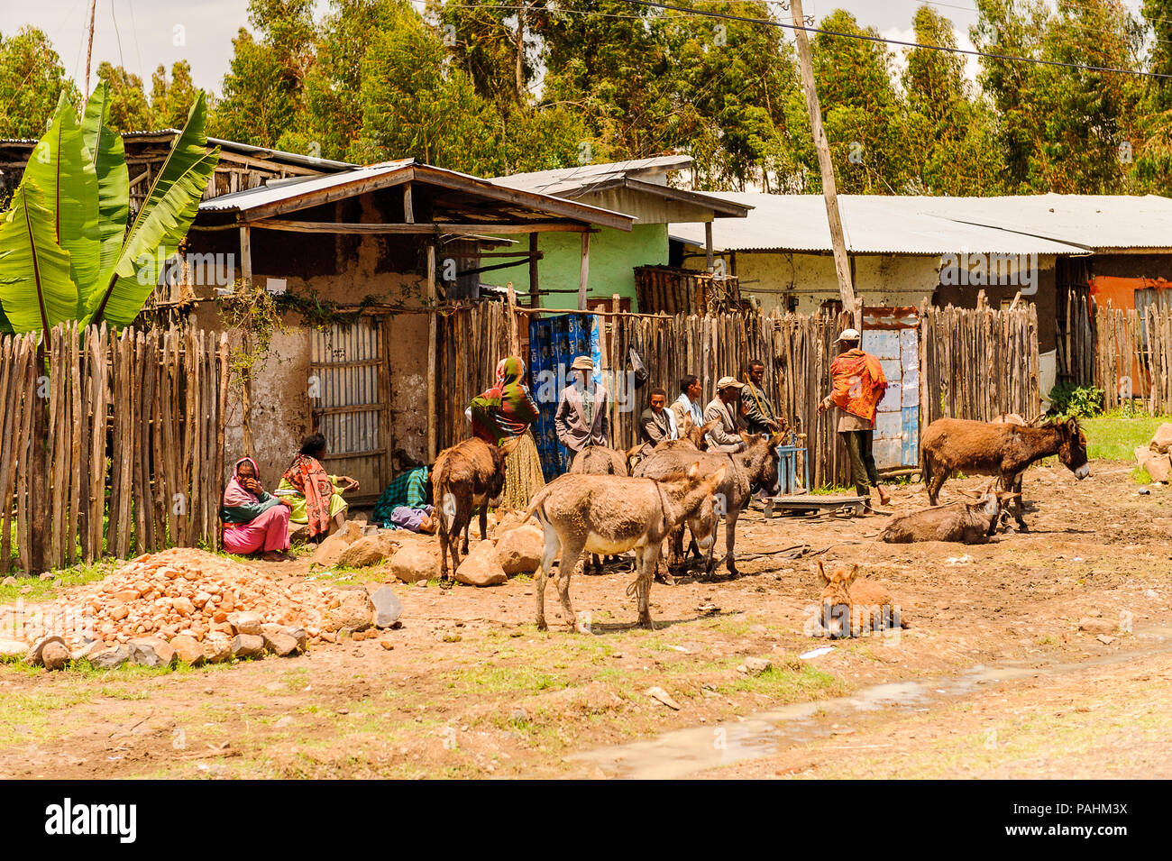 Congo tribe house hi-res stock photography and images - Alamy