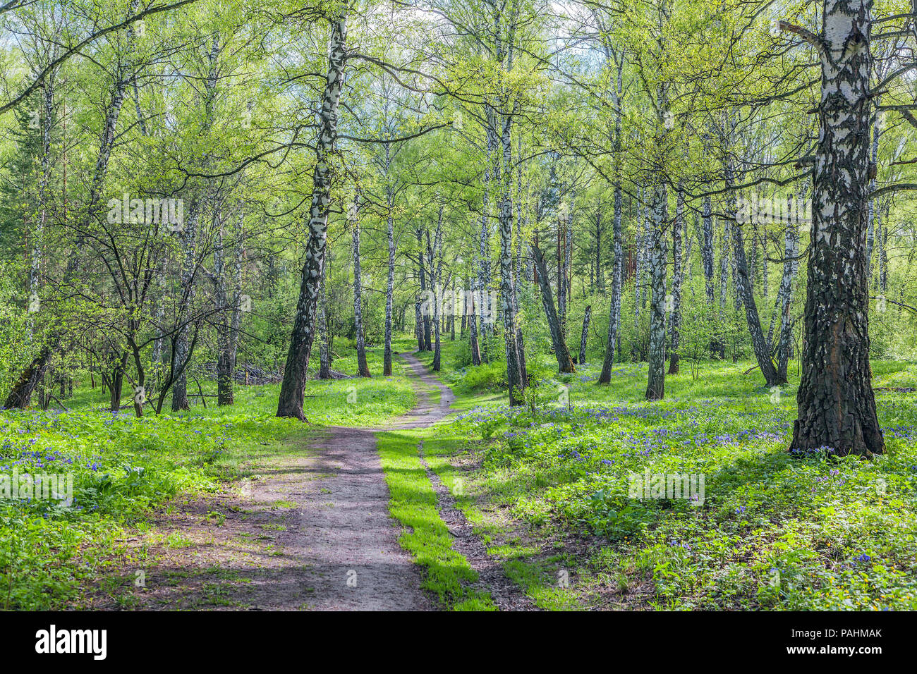 Beautiful grove hi-res stock photography and images - Alamy