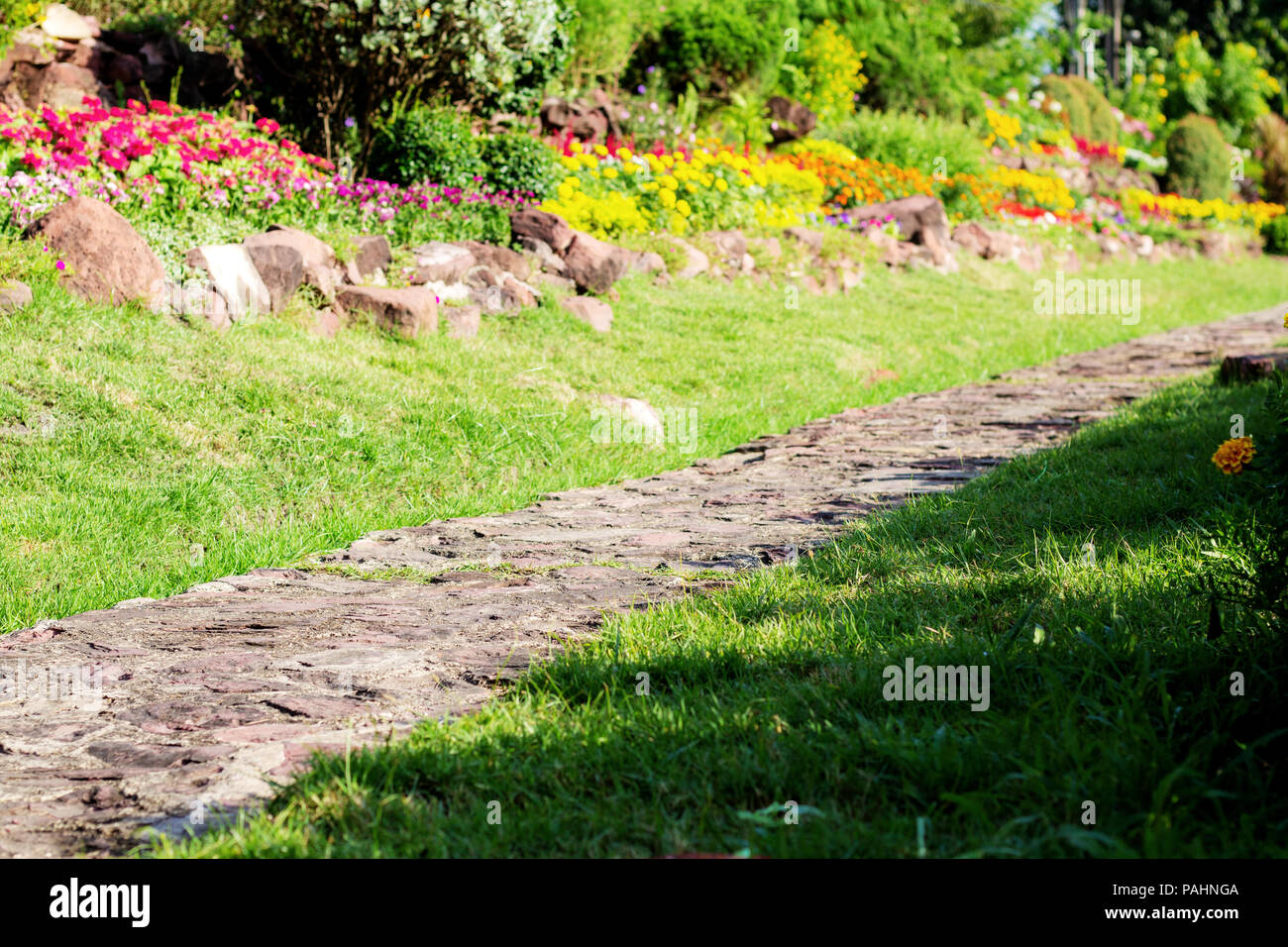 Flower of decorated in garden with sunlight at a daytime Stock Photo ...