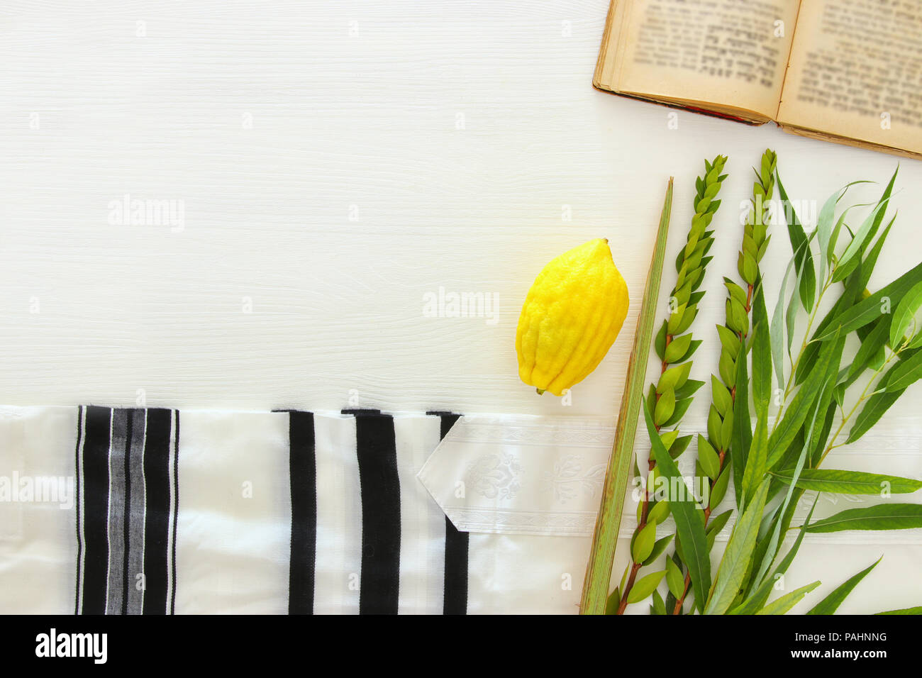 Jewish festival of Sukkot. Traditional symbols (The four species ...
